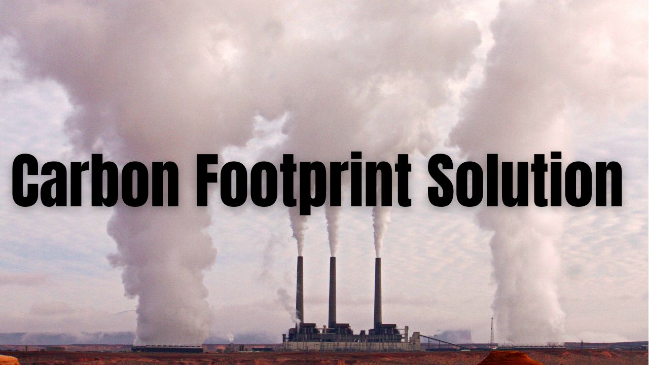 Leading the Way: Carbon Footprint Solutions in India - loofal